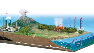 Ciclos do carbono e do oxigénio e ciclo do azoto